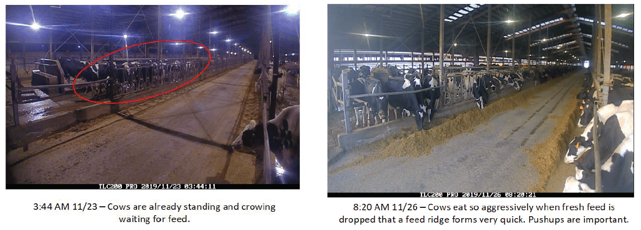 How Profitable is Pushing Up Feed? - Quality Liquid Feed