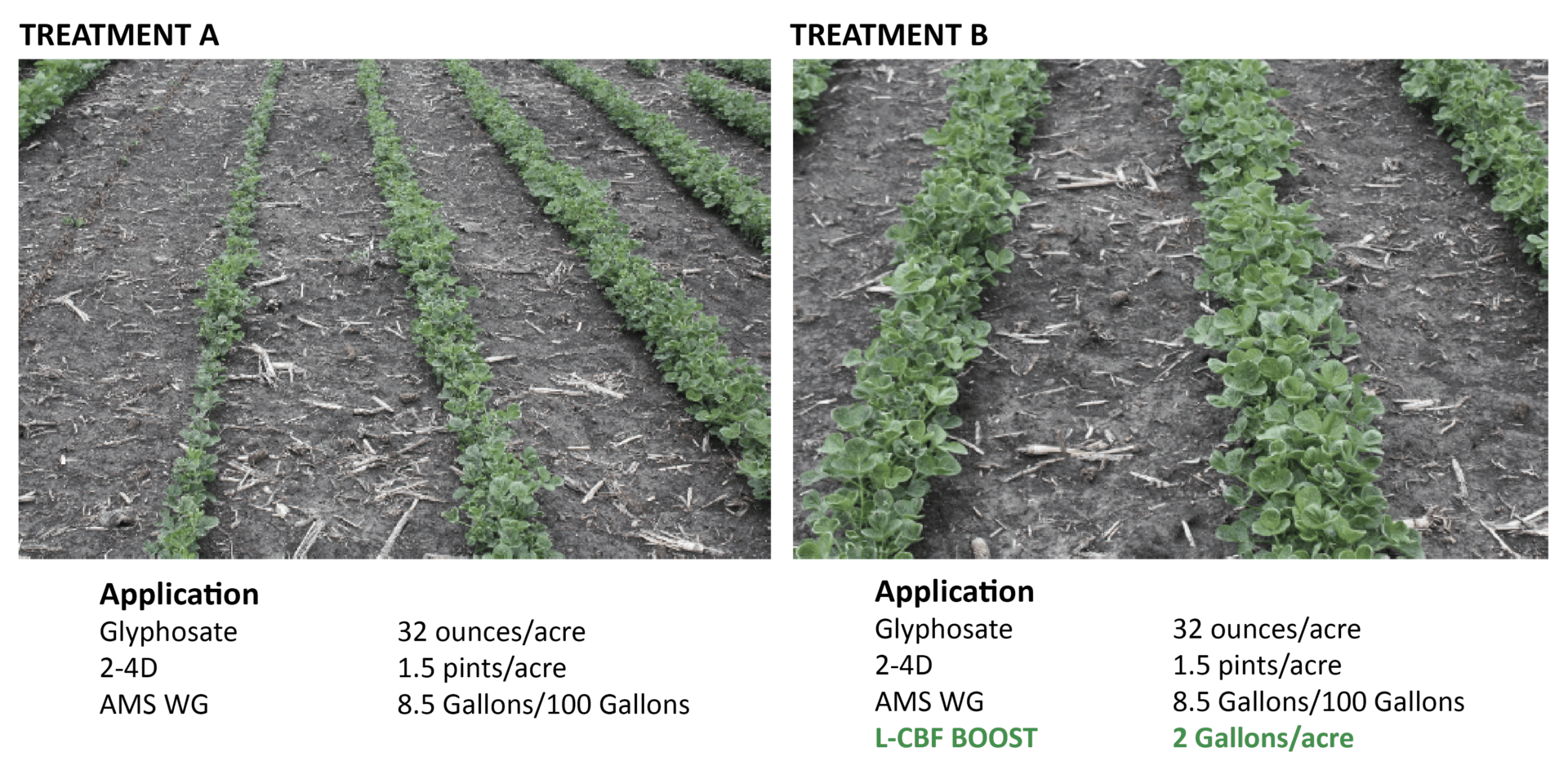 Increasing Yield Potential & Plant Health Post Herbicide Application ...