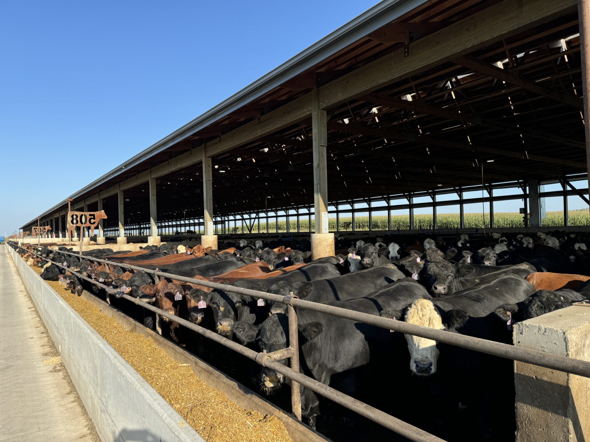 T&M Cattle Co. | Marcus, IA - Quality Liquid Feed